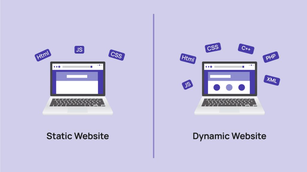 Static VS Dynamic Website: What should you choose? - Exly